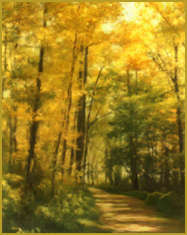 LANDSCAPES by Dennis Orlando - Orlando Gallery.com